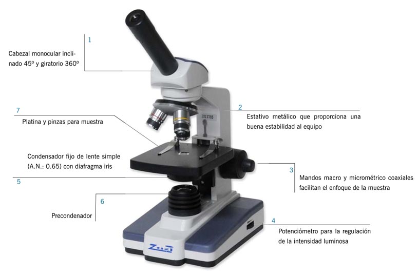 Microscopio monocular educación, serie 116, revolver triple, 400X ...