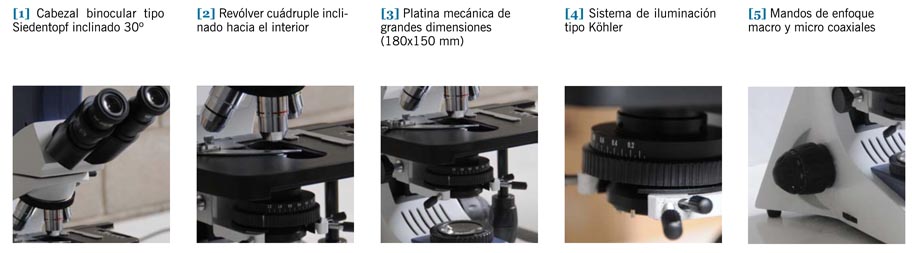 Microscopio digital binocular, serie 148/7, revolver cuádruple, 1000X ...