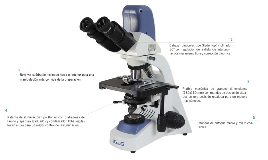 Microscopio digital binocular, serie 148/7, revolver cuádruple, 1000X ...